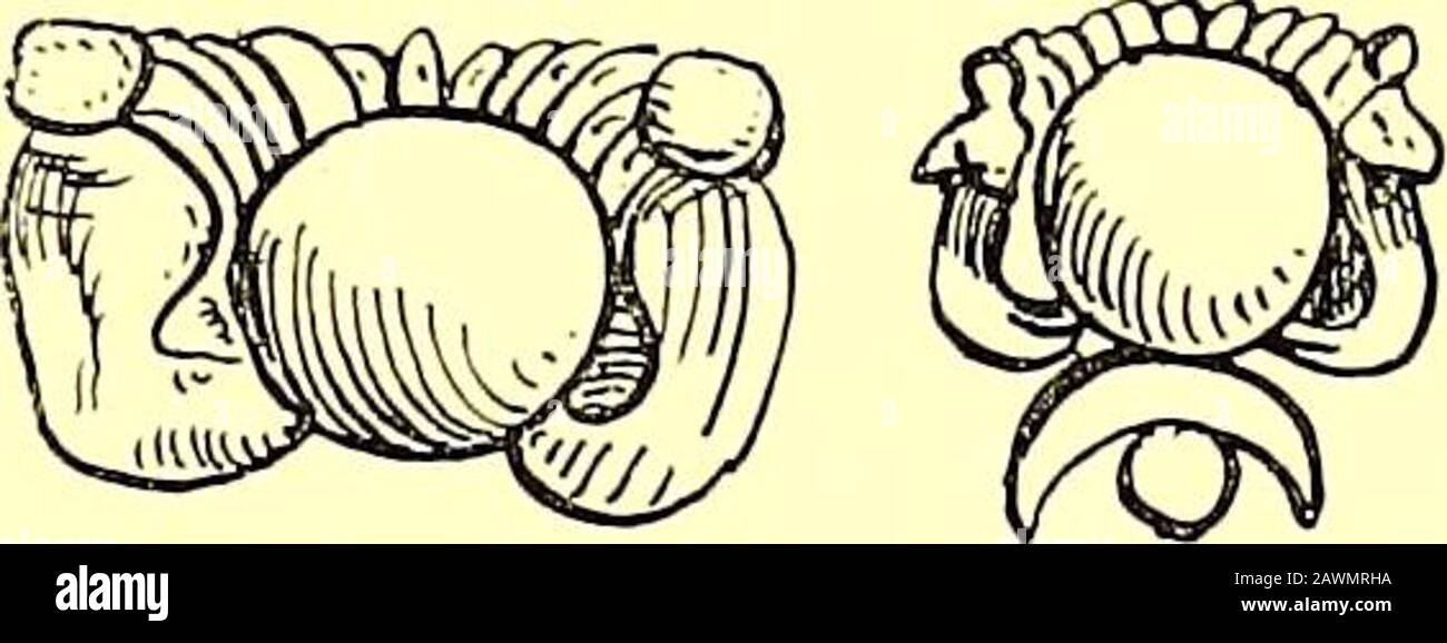 The last carthaginian hi-res stock photography and images - Alamy