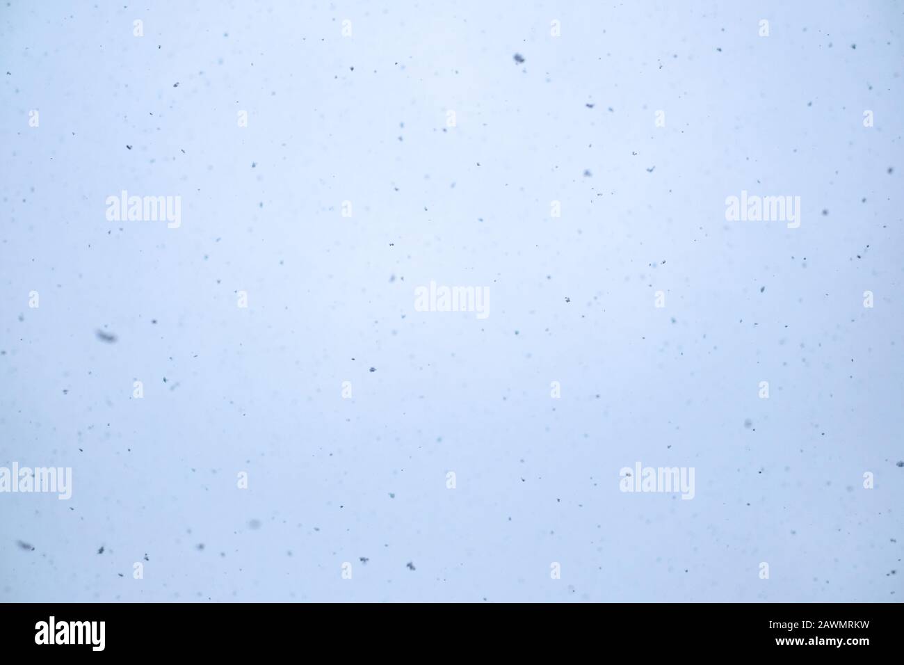 Winter sky with falling snow Stock Photo - Alamy