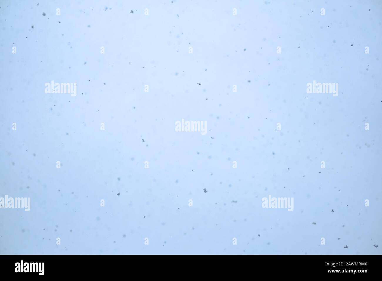 Winter sky with falling snow Stock Photo - Alamy