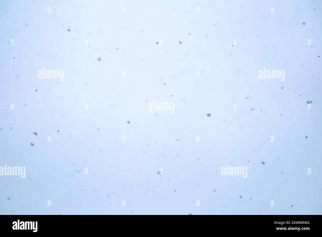Winter sky with falling snow Stock Photo - Alamy