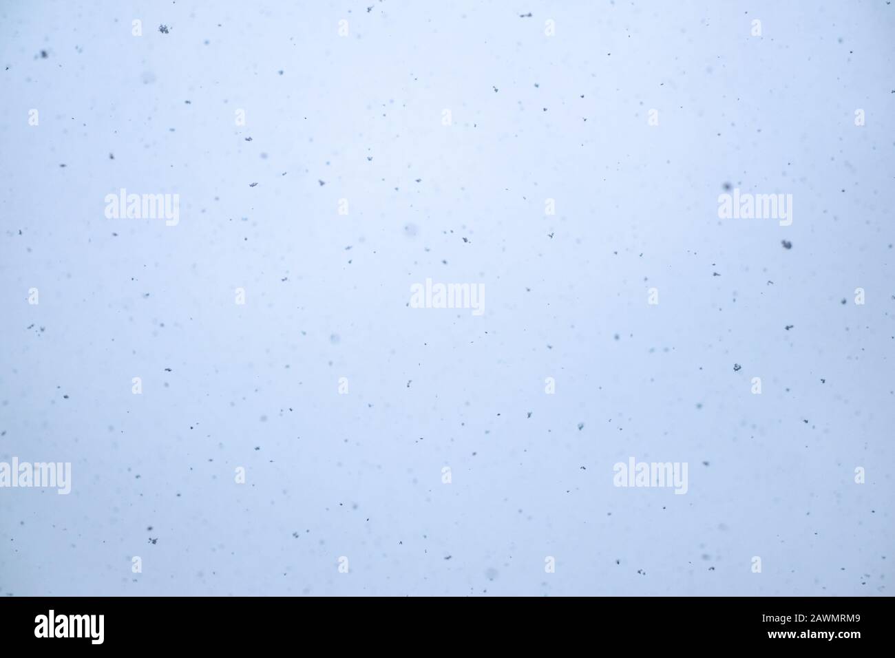 Winter sky with falling snow Stock Photo - Alamy