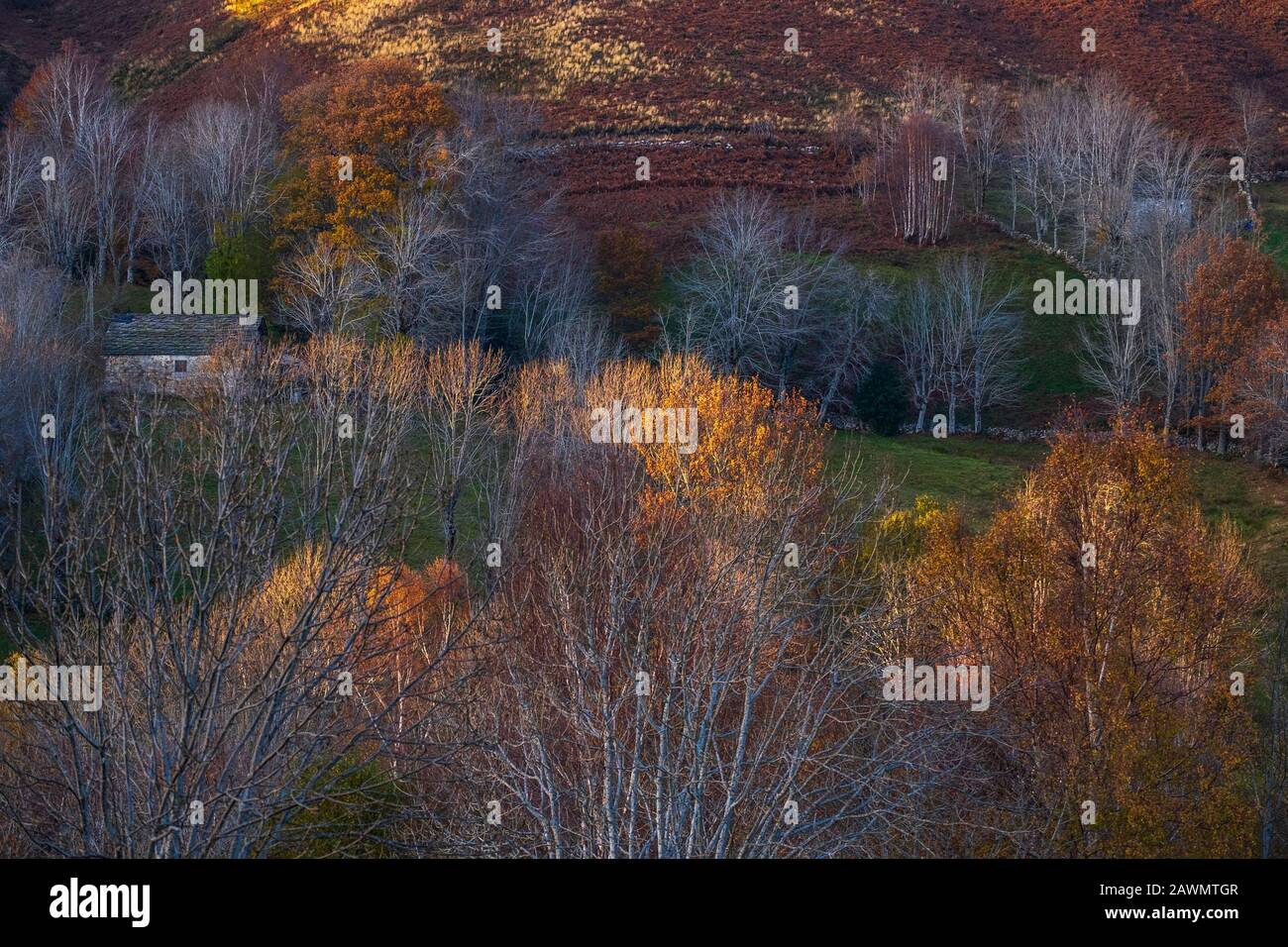Traditional farm houses. North Spain Stock Photo - Alamy