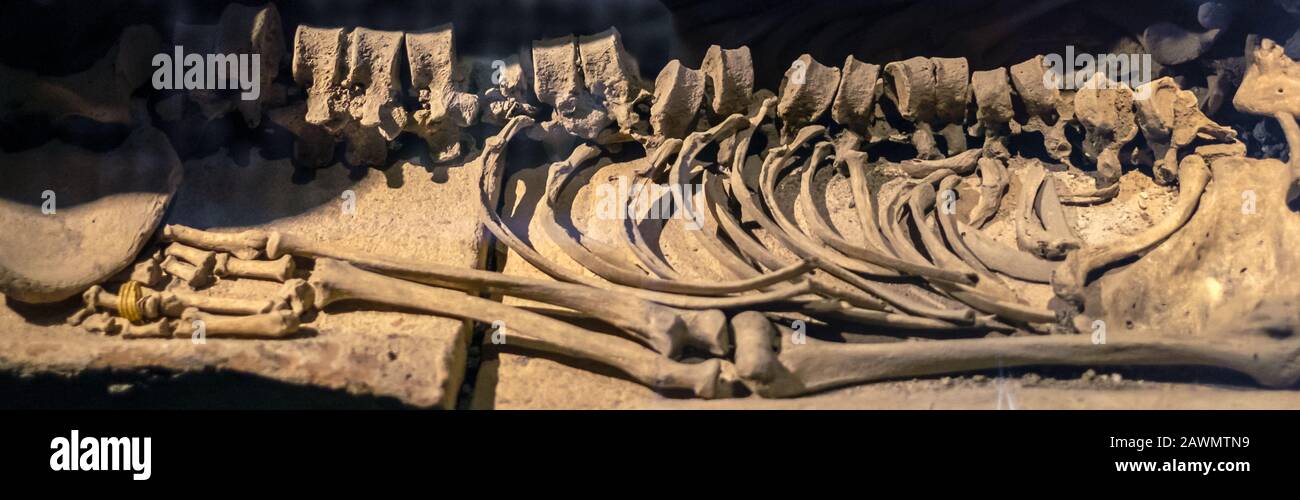 Bone relics hi-res stock photography and images - Alamy