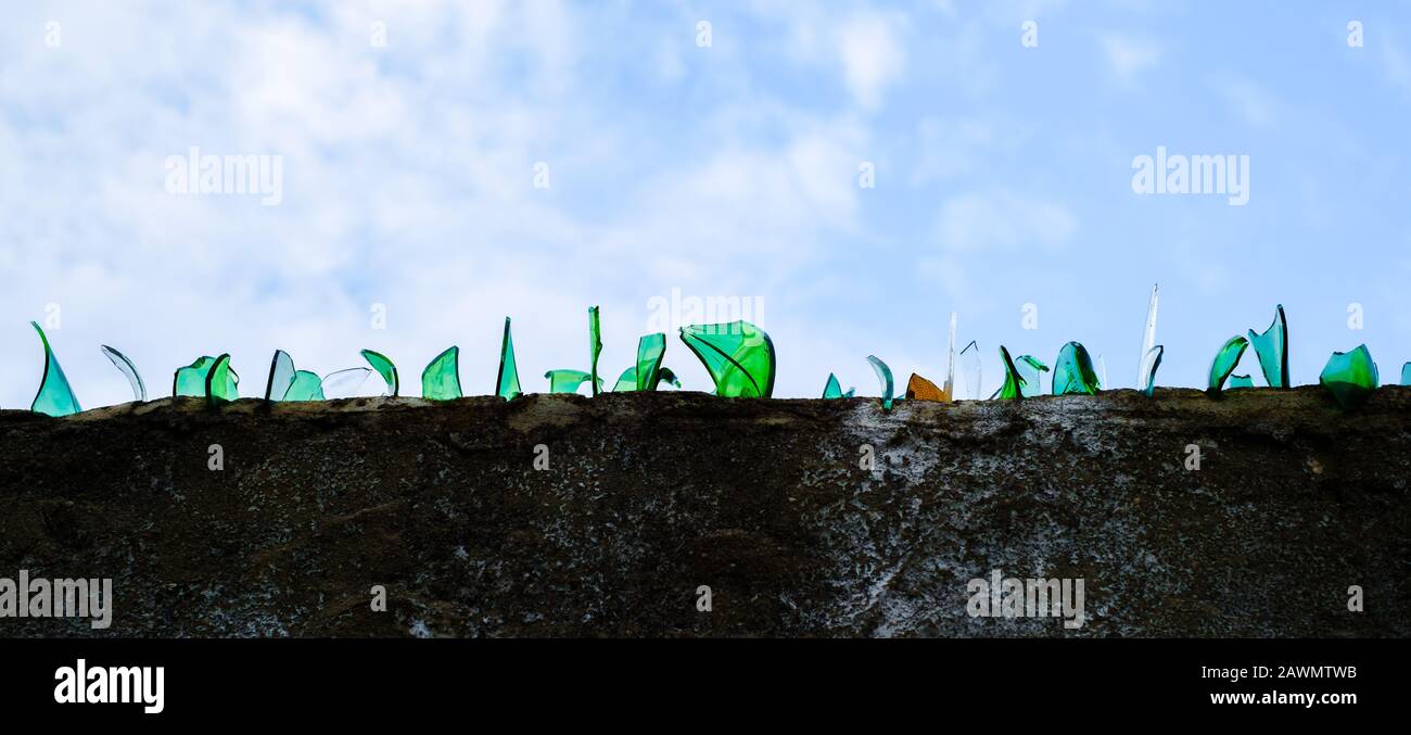 Shards of bottle glass on the fence Stock Photo - Alamy