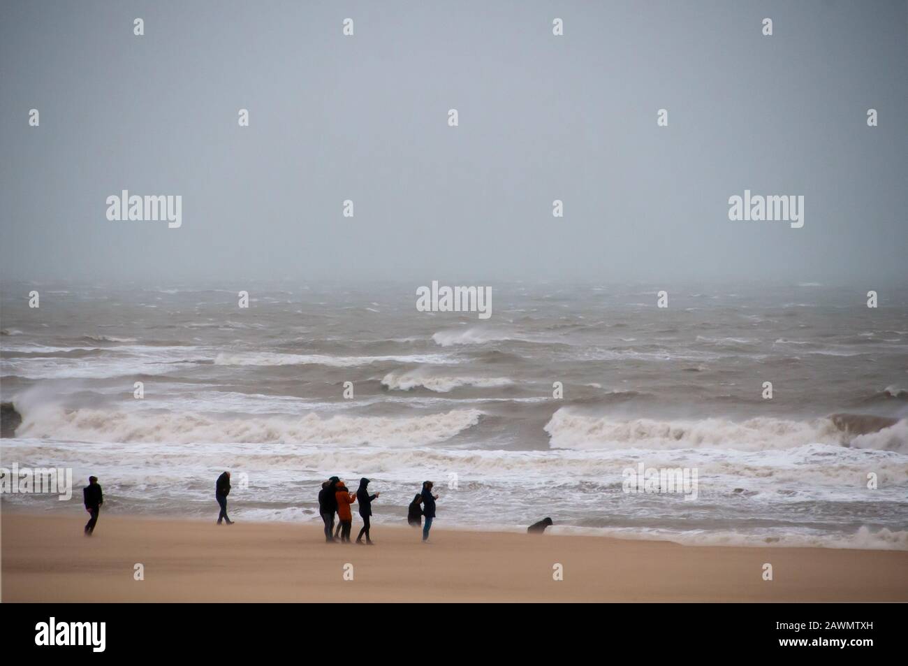 Storm damage beach netherlands hi-res stock photography and images - Alamy