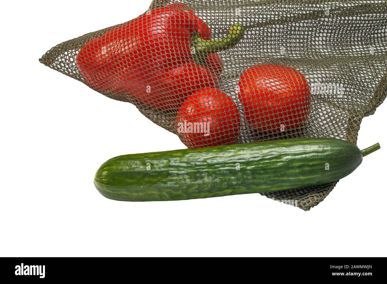 Reusable mesh product Bag, Biodegradable Washable Eco-Friendly, see ...