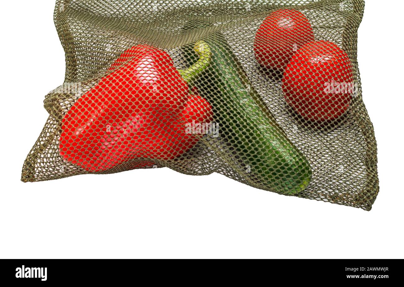 Reusable mesh product Bag, Biodegradable Washable Eco-Friendly, see ...