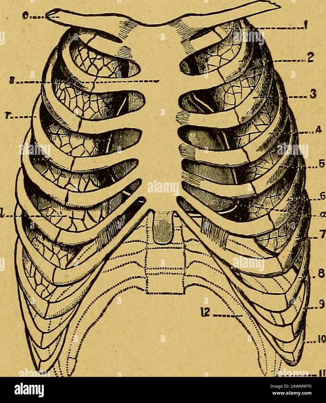 Ivand hi-res stock photography and images - Alamy