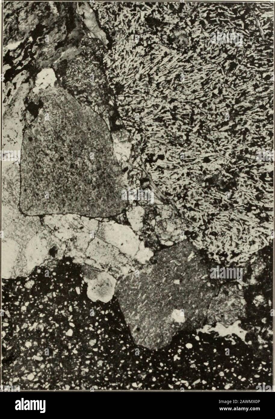 The geology of the Coromandel subdivision, Hauraki, Auckland . i Hill ...