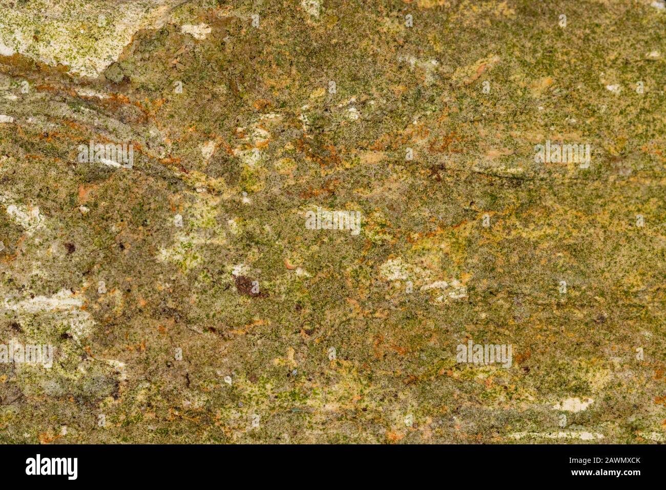 Green colored textured limestone slab Stock Photo - Alamy
