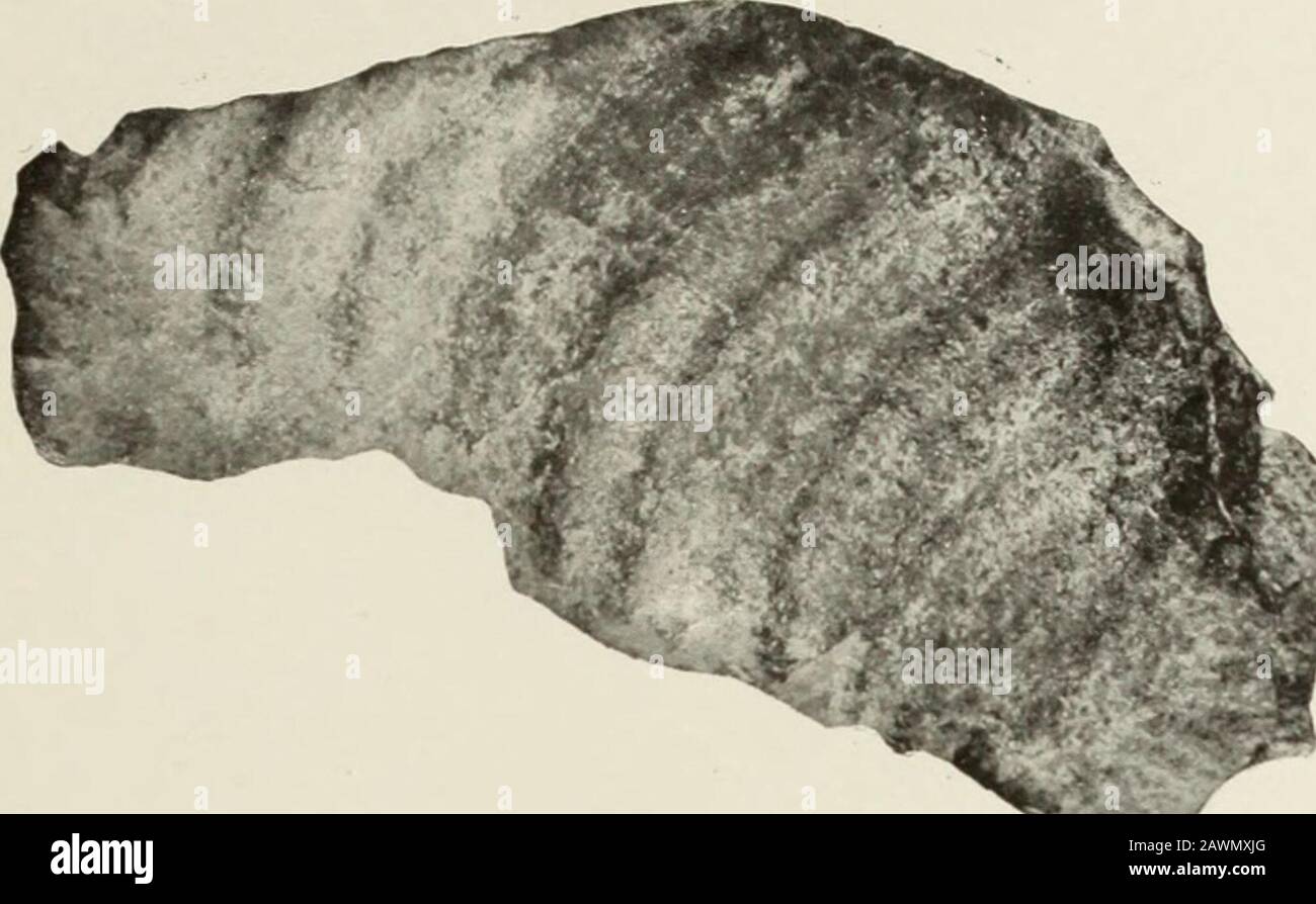 Tokatea hi-res stock photography and images - Alamy