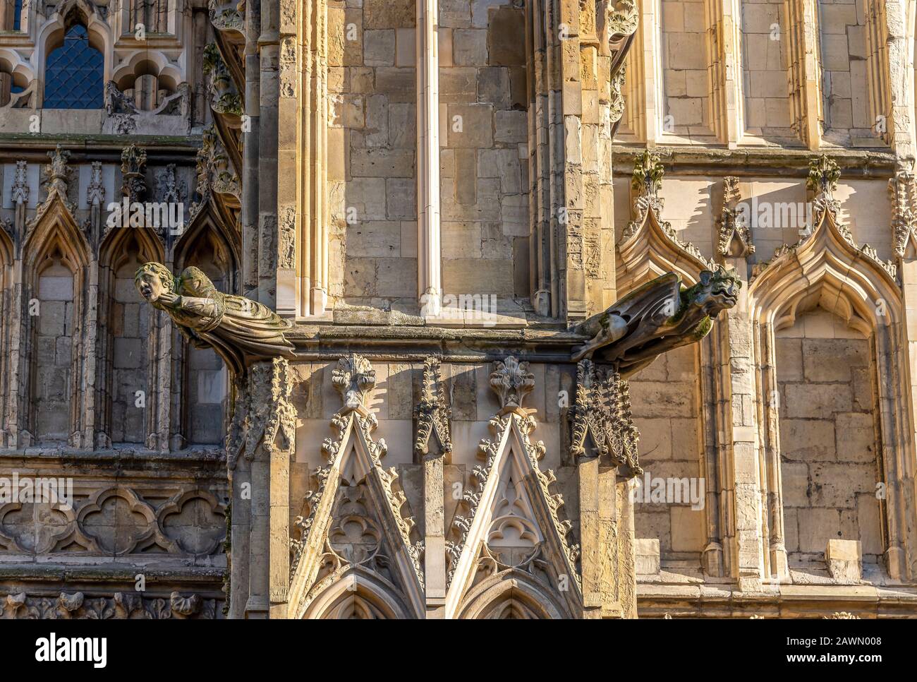 Medieval carvings of gargoyles. Two figures jut out from the intricate ...