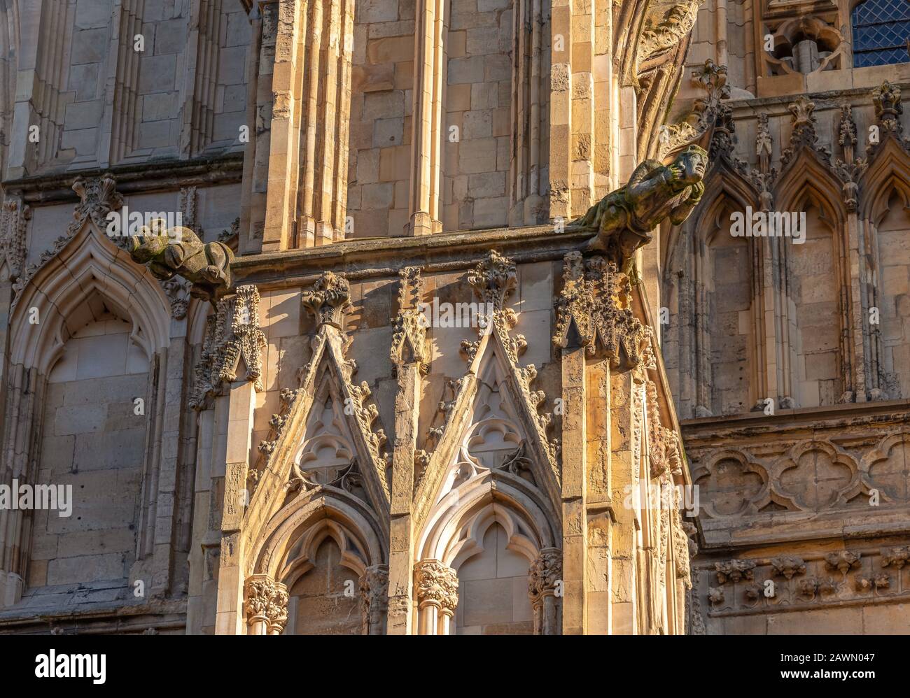 Medieval carvings of gargoyles. Two figures jut out from the intricate ...