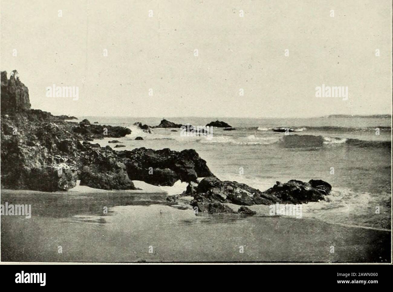 The geology of the Coromandel subdivision, Hauraki, Auckland . .] [To ...