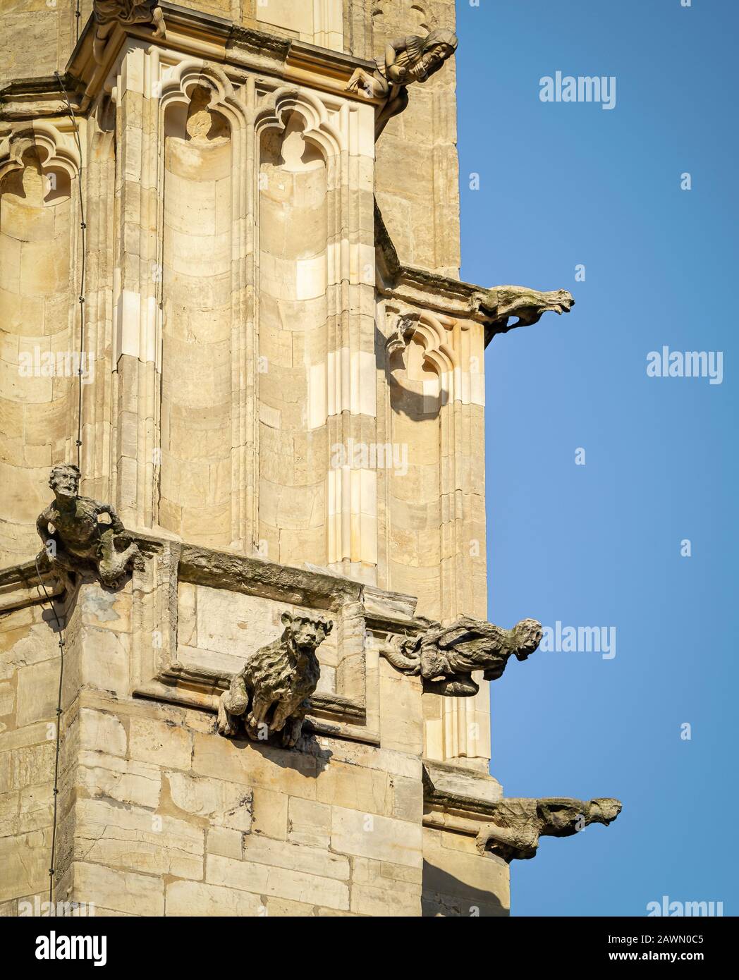 Medieval carvings of gargoyles. Two figures jut out from the intricate ...