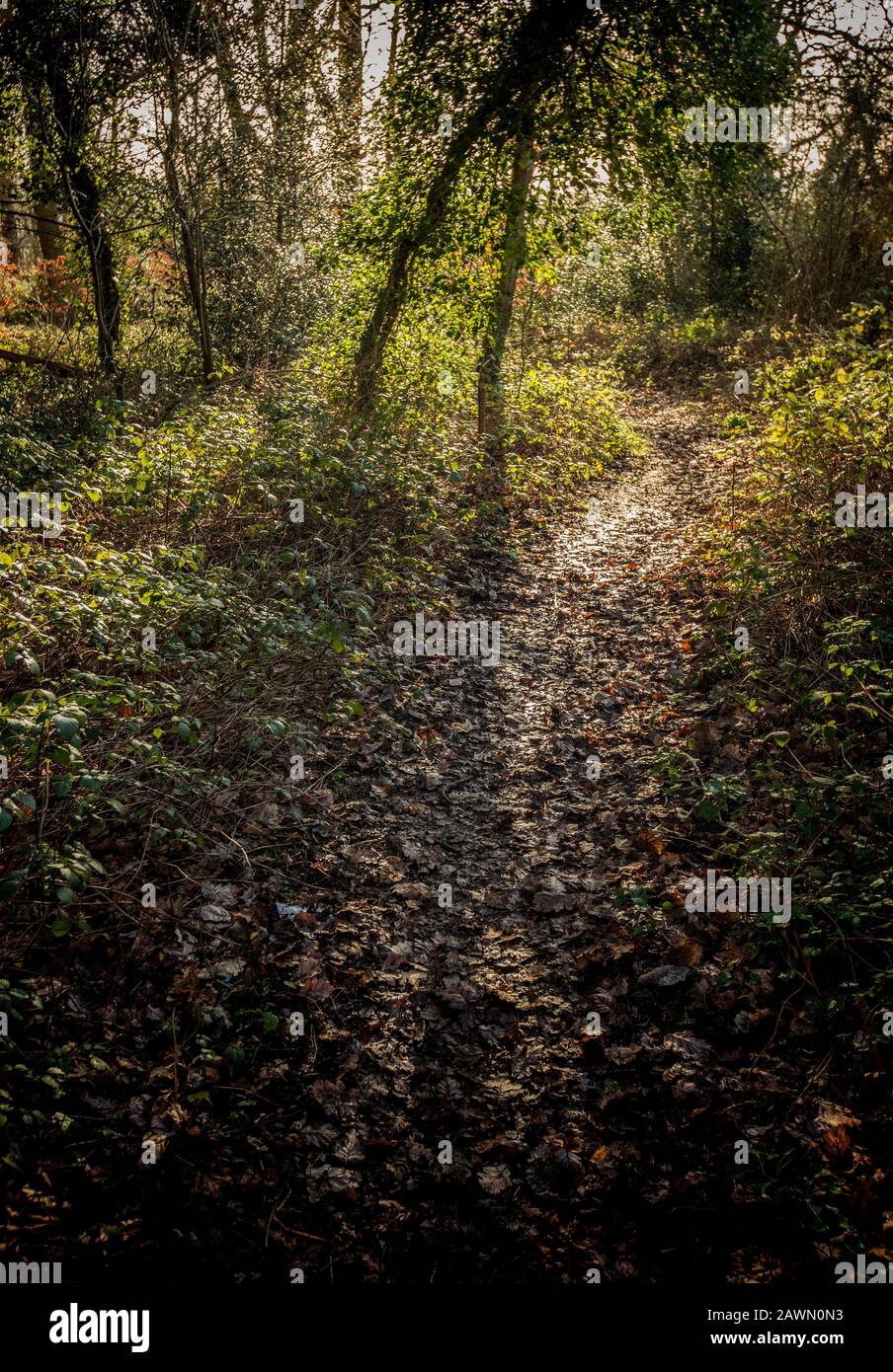 Converging paths hi-res stock photography and images - Alamy