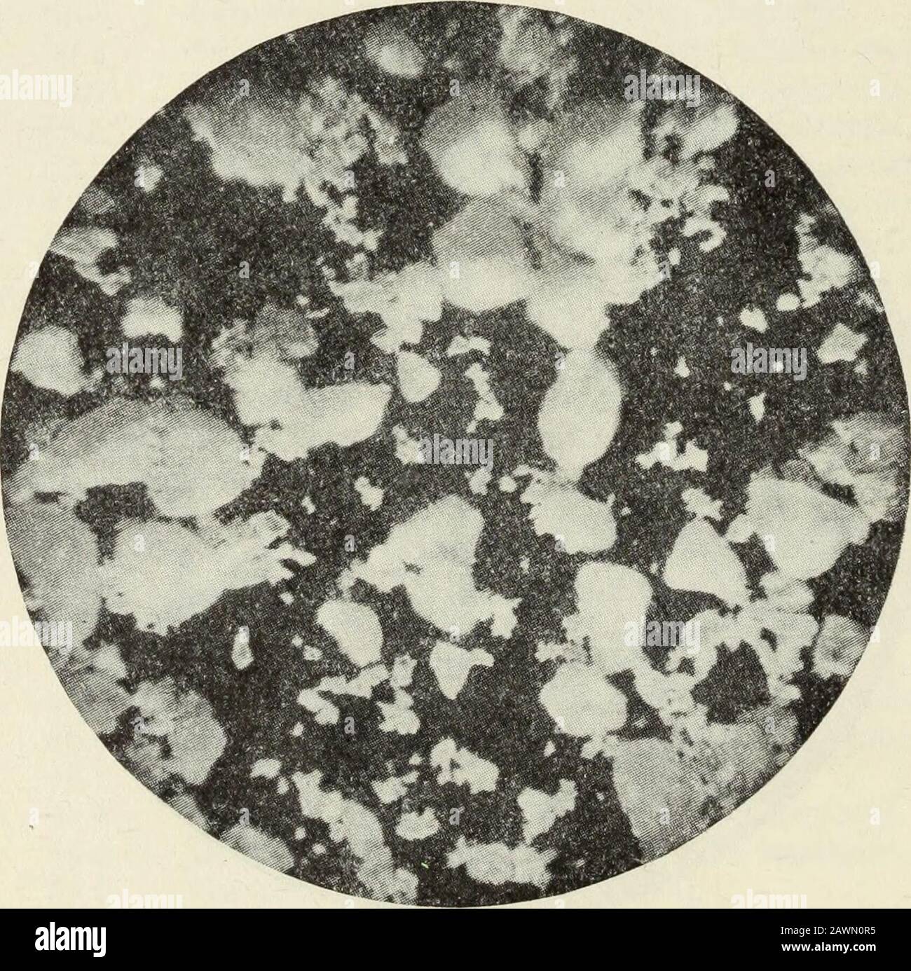 Oidium or powdery mildew of the vine . Fig. 14. Sublimed Sulfur of poor ...
