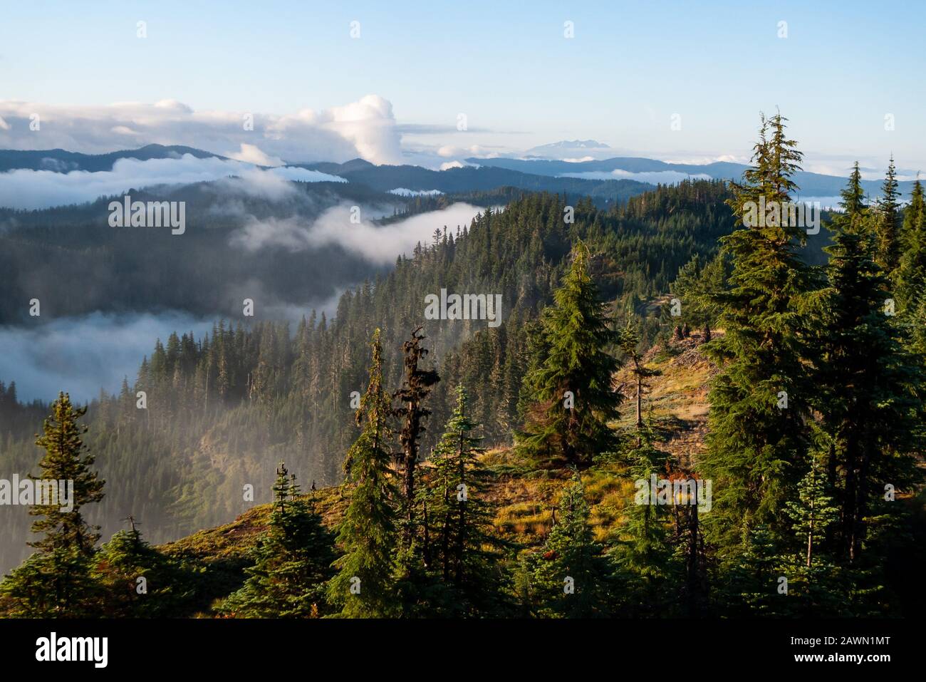 Indian Ridge Lookout, Lane County, Willamette National Forest, Oregon ...