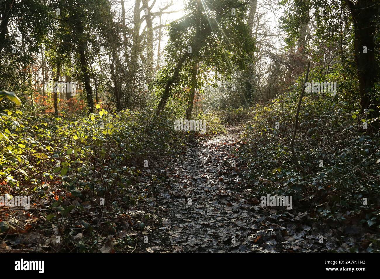 Converging paths hi-res stock photography and images - Alamy