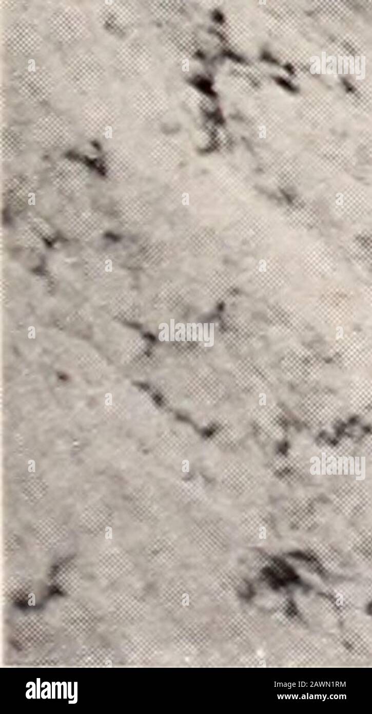 100 fathoms hi-res stock photography and images - Alamy