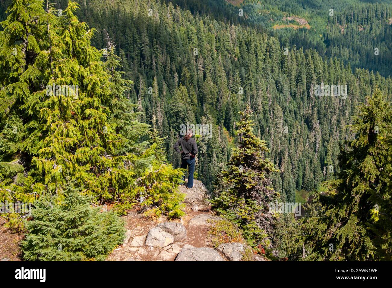 Indian Ridge Lookout, Lane County, Willamette National Forest, Oregon ...