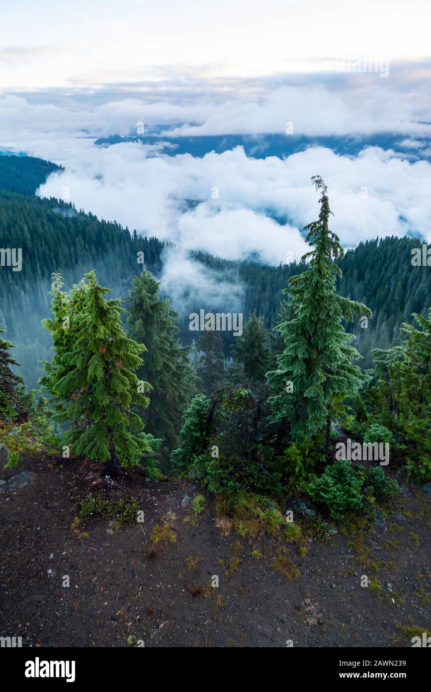 Indian Ridge Lookout, Lane County, Willamette National Forest, Oregon ...