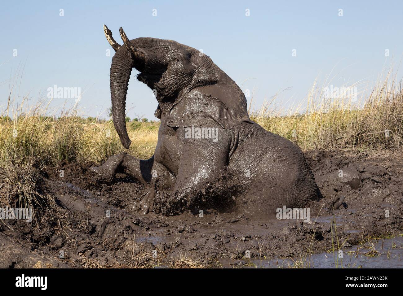 Cooling mud bath hi-res stock photography and images - Alamy