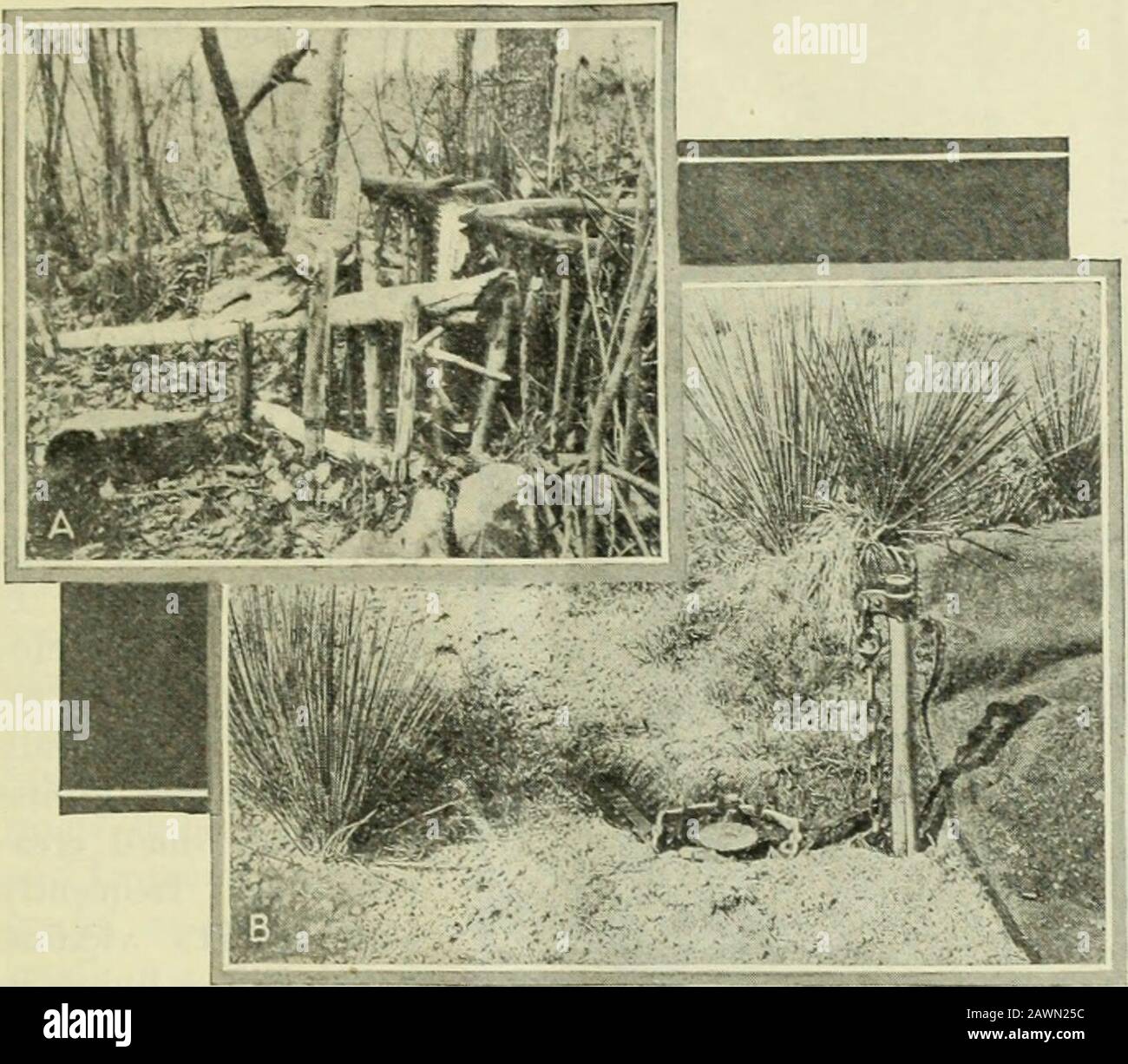 Trapping on the farm . which, in this illustration, is raised to show ...