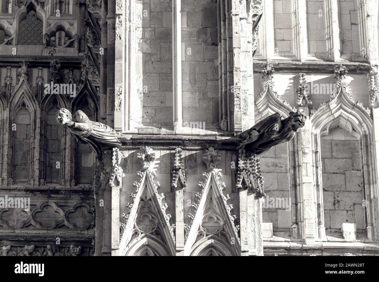 Medieval carvings of gargoyles. Two figures jut out from the intricate ...