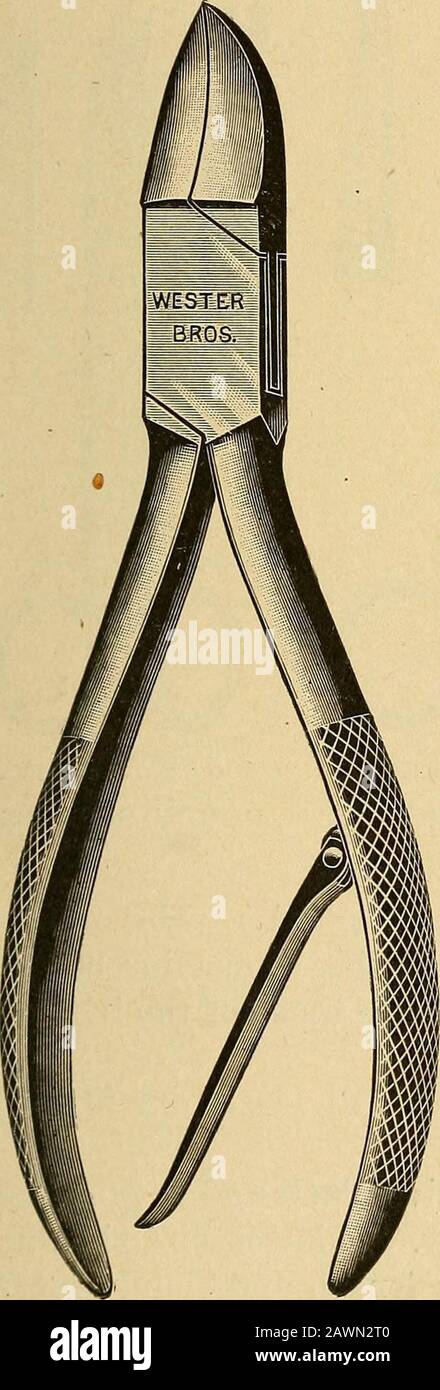 Practical podiatry : . FIG. 12.NAIL SPLITTER INSTRUMENTS 87 in podiatry ...