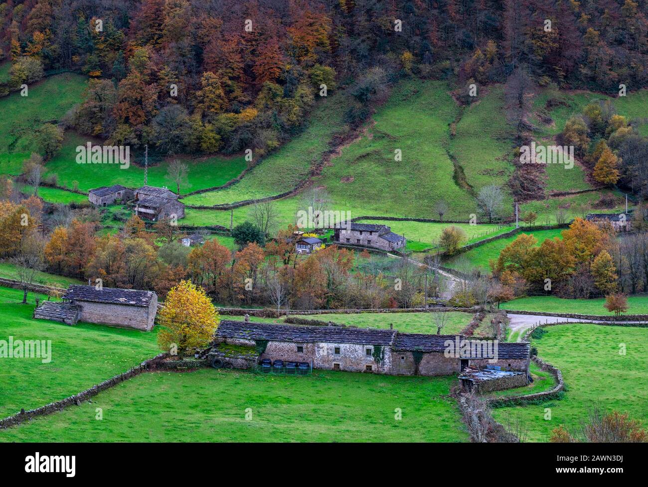 Cantabrian valleys. Traditional farms. North Spain Stock Photo - Alamy