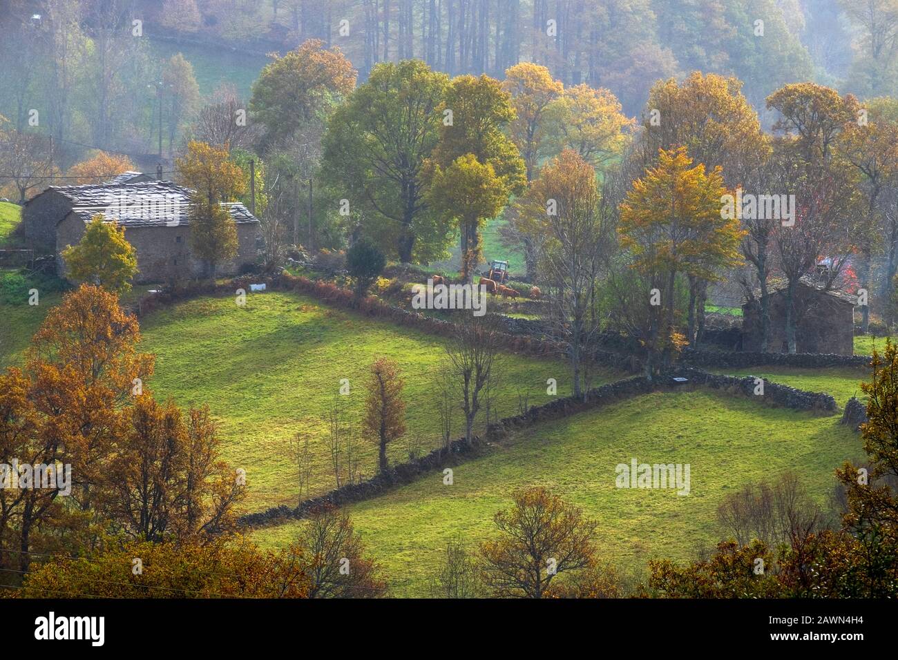Cantabrian valleys. Traditional farms. North Spain Stock Photo - Alamy