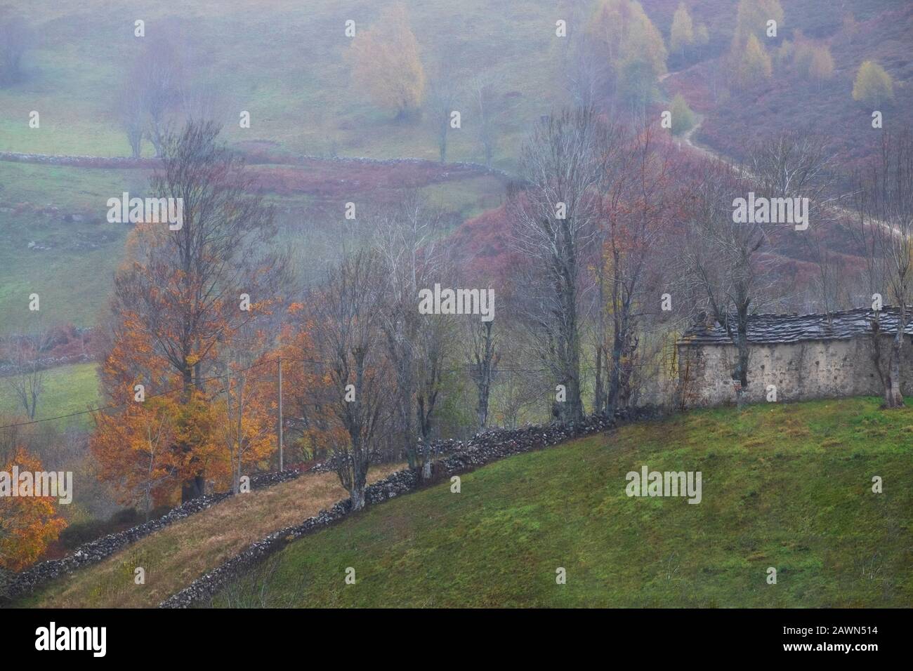 Cantabrian valleys. Traditional farms. North Spain Stock Photo - Alamy