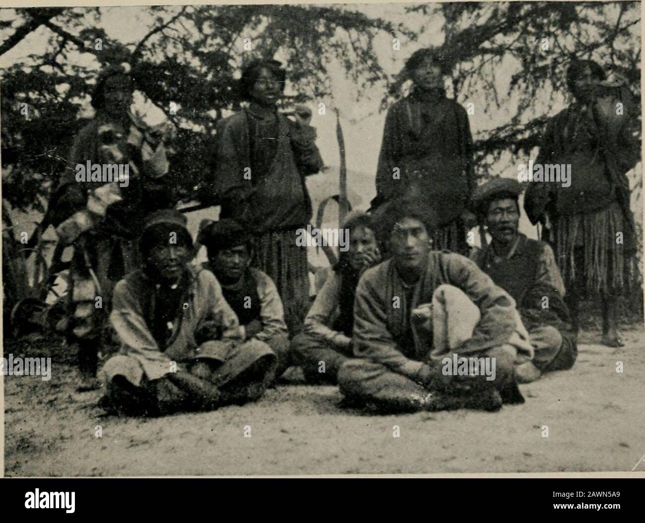 Who Was Miss Mary Shepherd