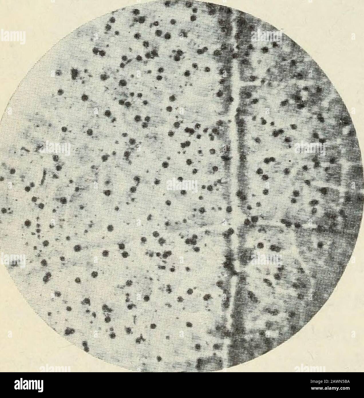Turn forms part hi-res stock photography and images - Alamy