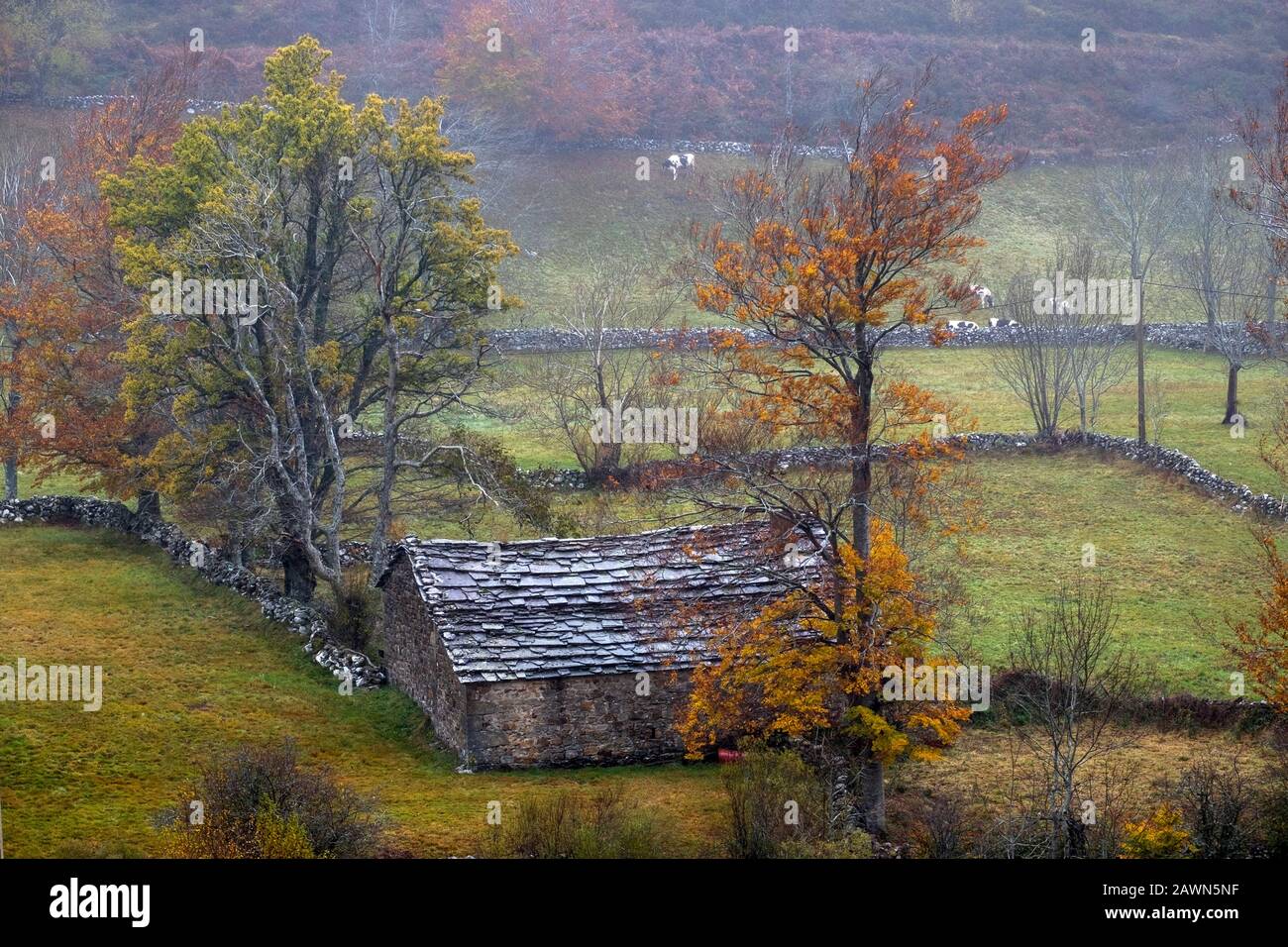 Cantabrian valleys. Traditional farms. North Spain Stock Photo - Alamy