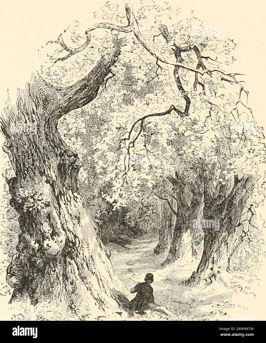 Edmonston water hi-res stock photography and images - Alamy