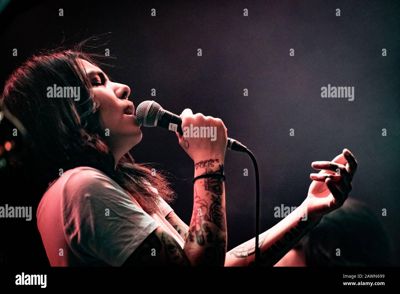 Copenhagen, Denmark. 07th, February 2020. The Swedish stoner metal band ...