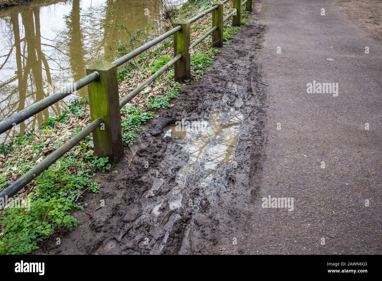 A muddy puddle with footprints and cycle marks next to a footpath ...