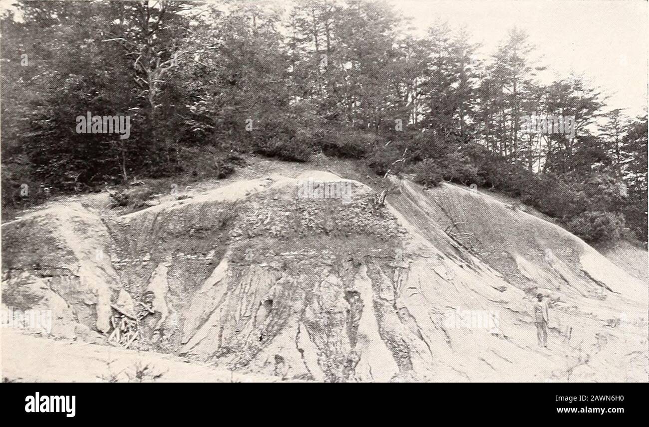 Diatomaceous earth i hi-res stock photography and images - Alamy