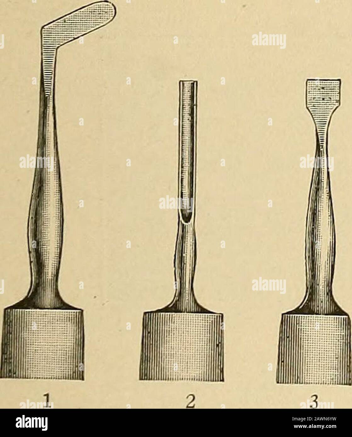 Practical podiatry : . 3 4 5 6 FIG. 4. NATL CHISELS Soft Corn Spoon ...