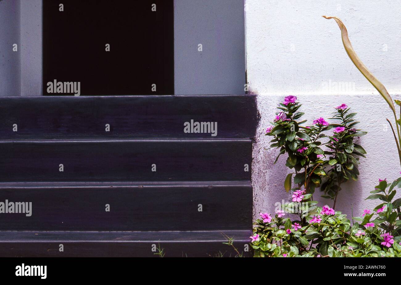 Peponi Hotel on the beach, near old town of Lamu, island off Indian ...