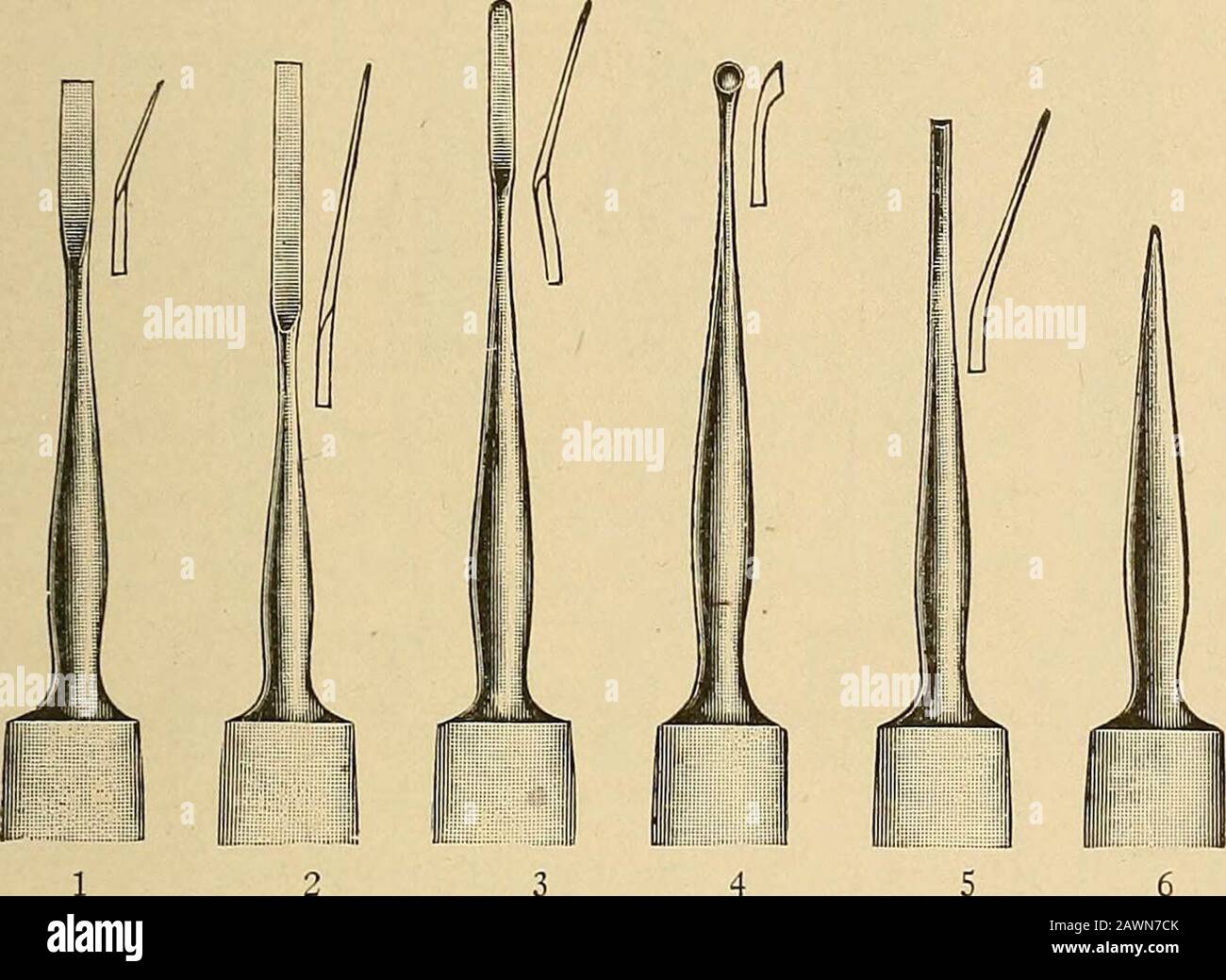 Practical podiatry : . INSTRUMENTS 83 penetrating tlie soft tissues of ...