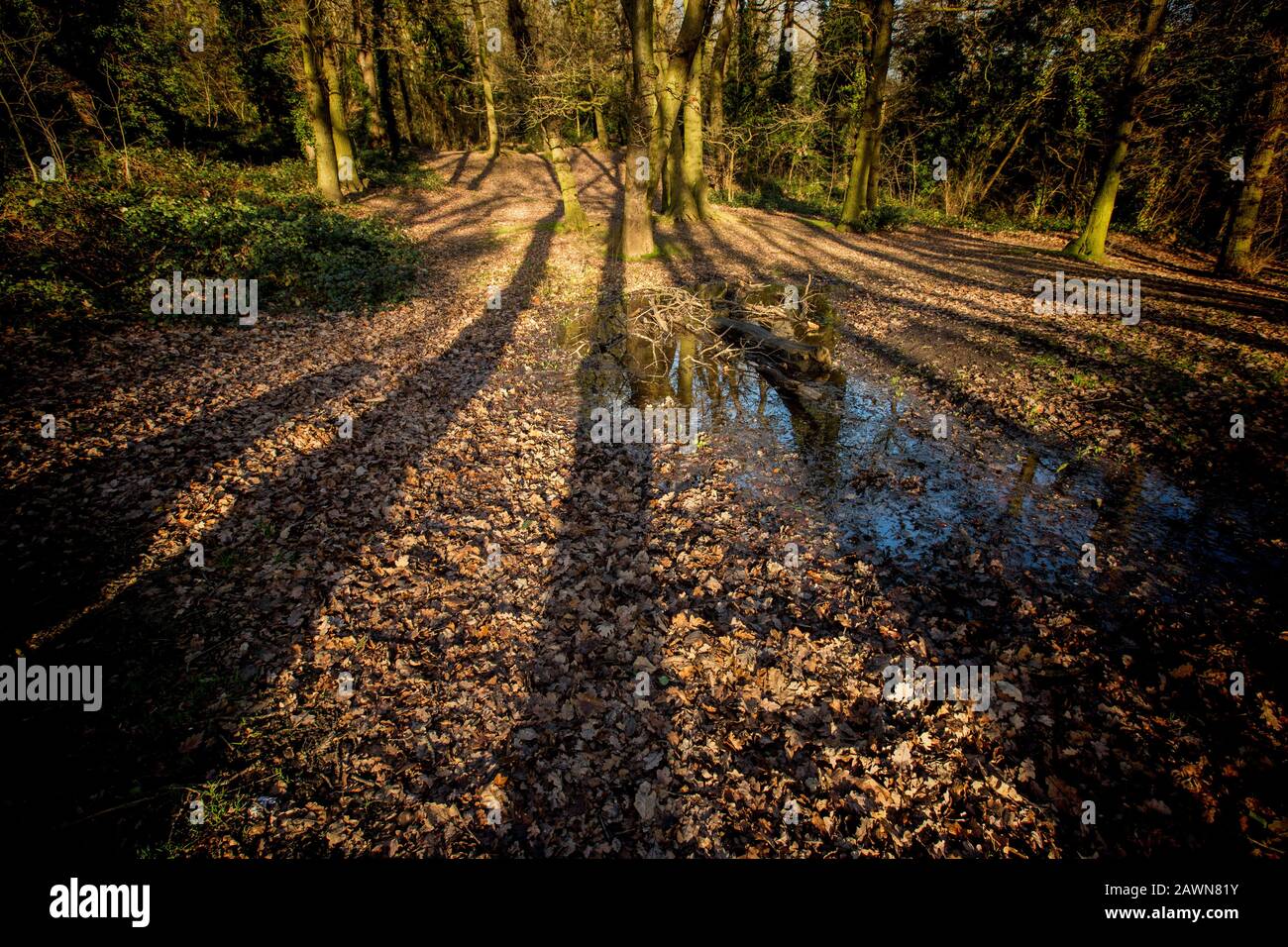 Converging paths hi-res stock photography and images - Alamy