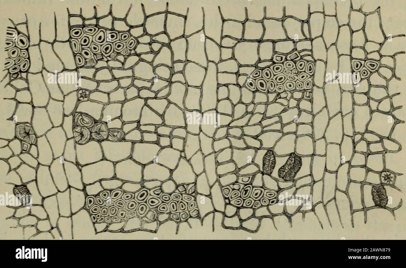 Radialand High Resolution Stock Photography and Images - Alamy