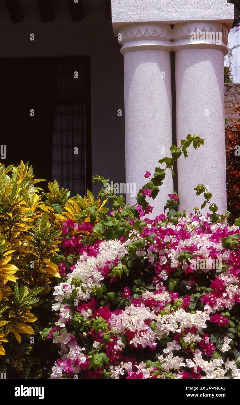 Peponi Hotel on the beach, near old town of Lamu, island off Indian ...