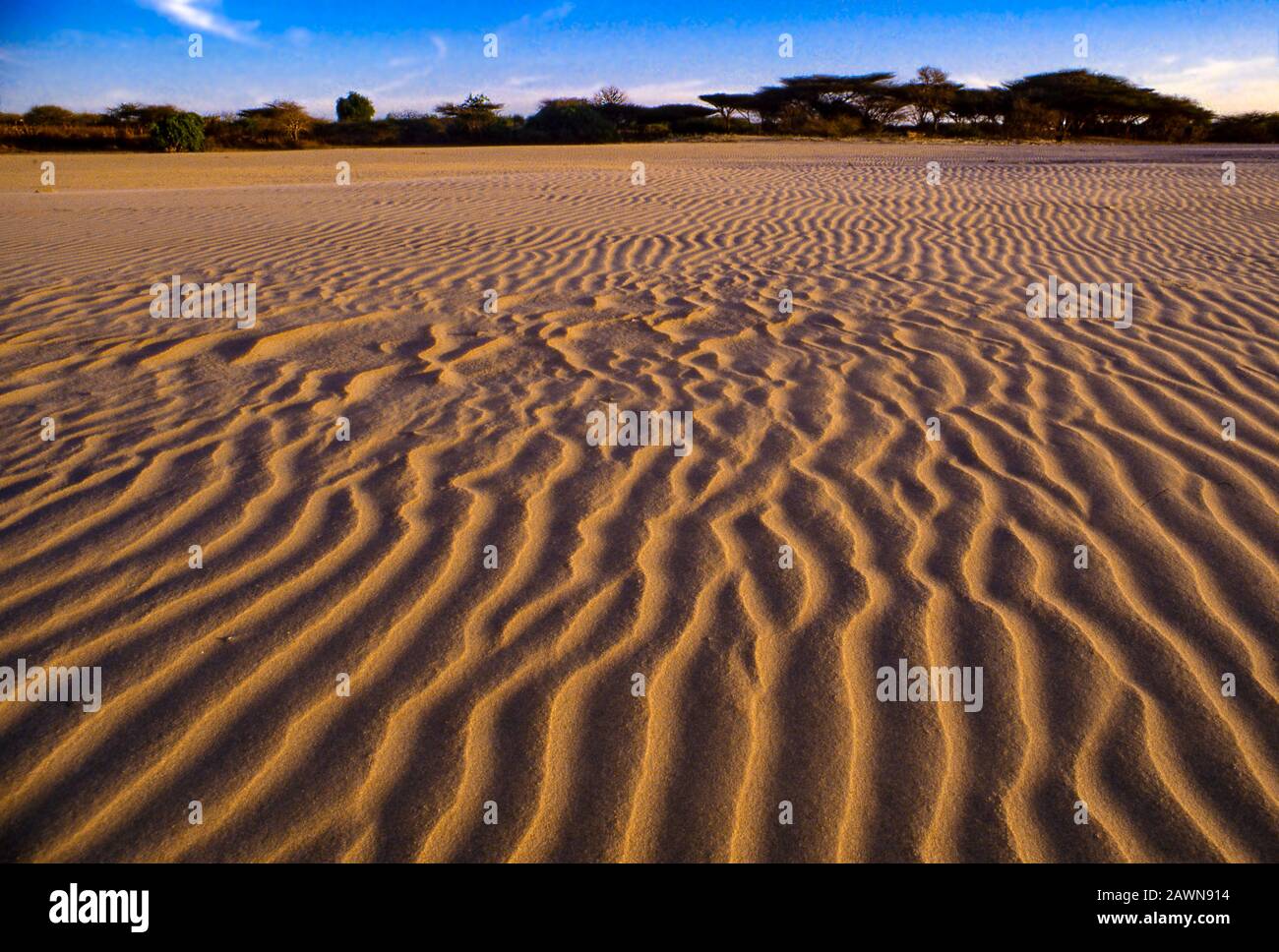 Wind created sand ripples on beach near old town of Lamy on Indian ...