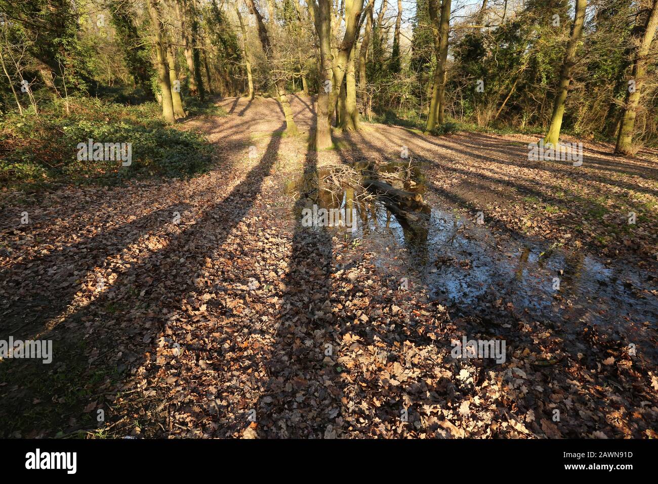 Converging paths hi-res stock photography and images - Alamy