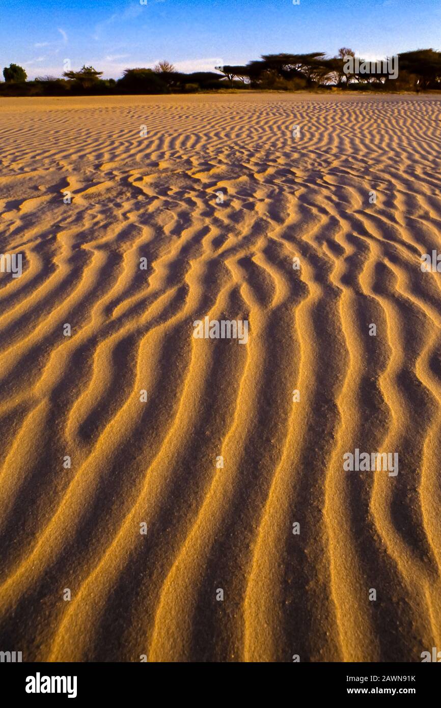 Wind created sand ripples on beach near old town of Lamy on Indian ...