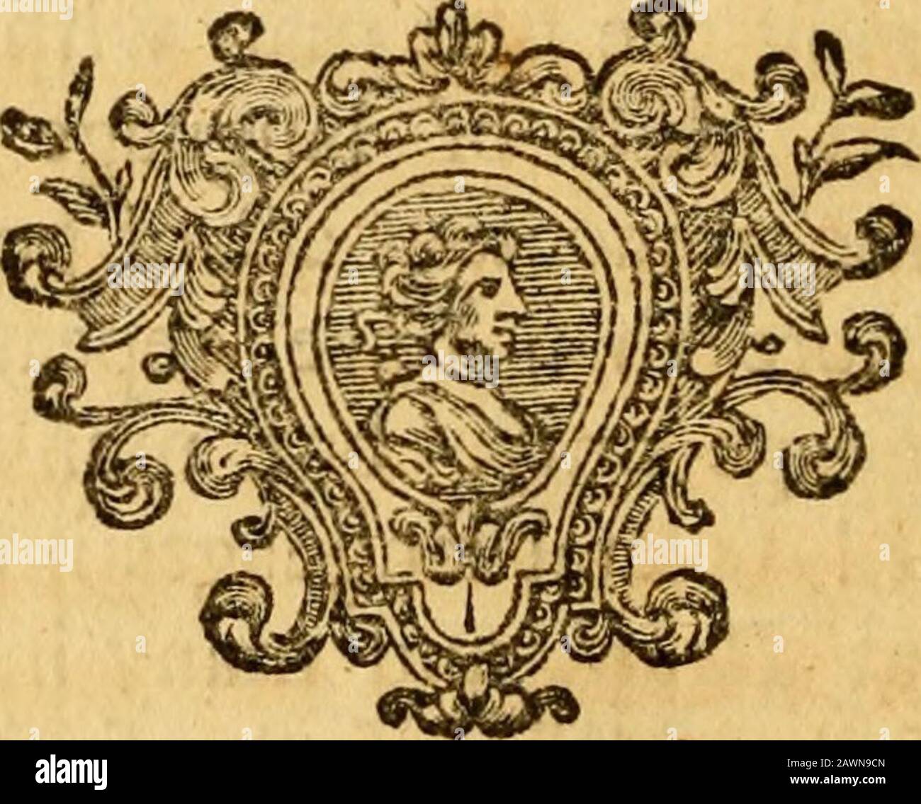 Feveral hi-res stock photography and images - Alamy